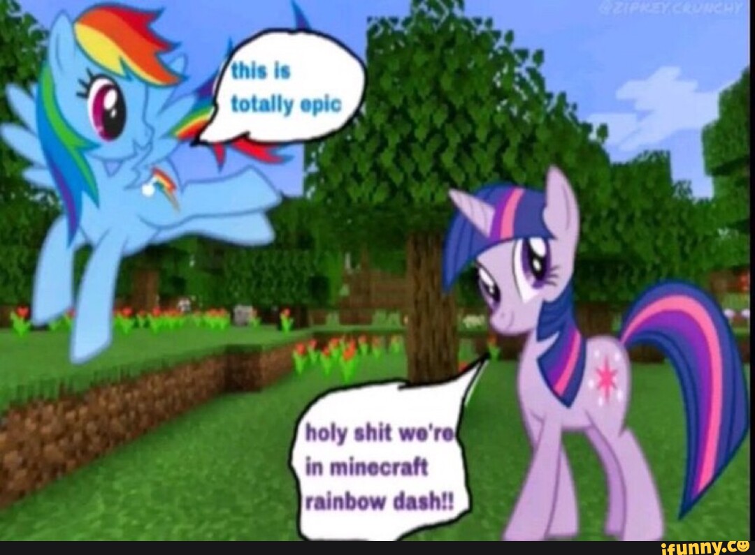To holy shit we're in minecraft rainbow dash!! - iFunny