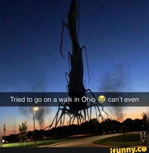 Tried to go on a walk in Ohio can't even - iFunny