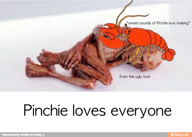 Pinchie memes. Best Collection of funny Pinchie pictures on iFunny