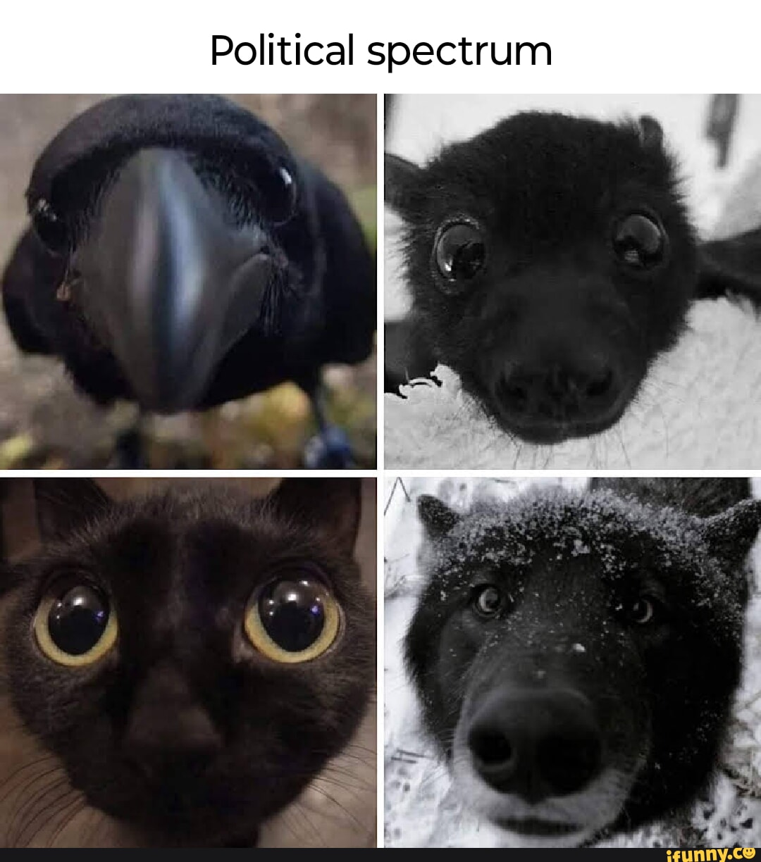 WAKE UP BOZO ITS GOPITALS GAMEDL: - iFunny