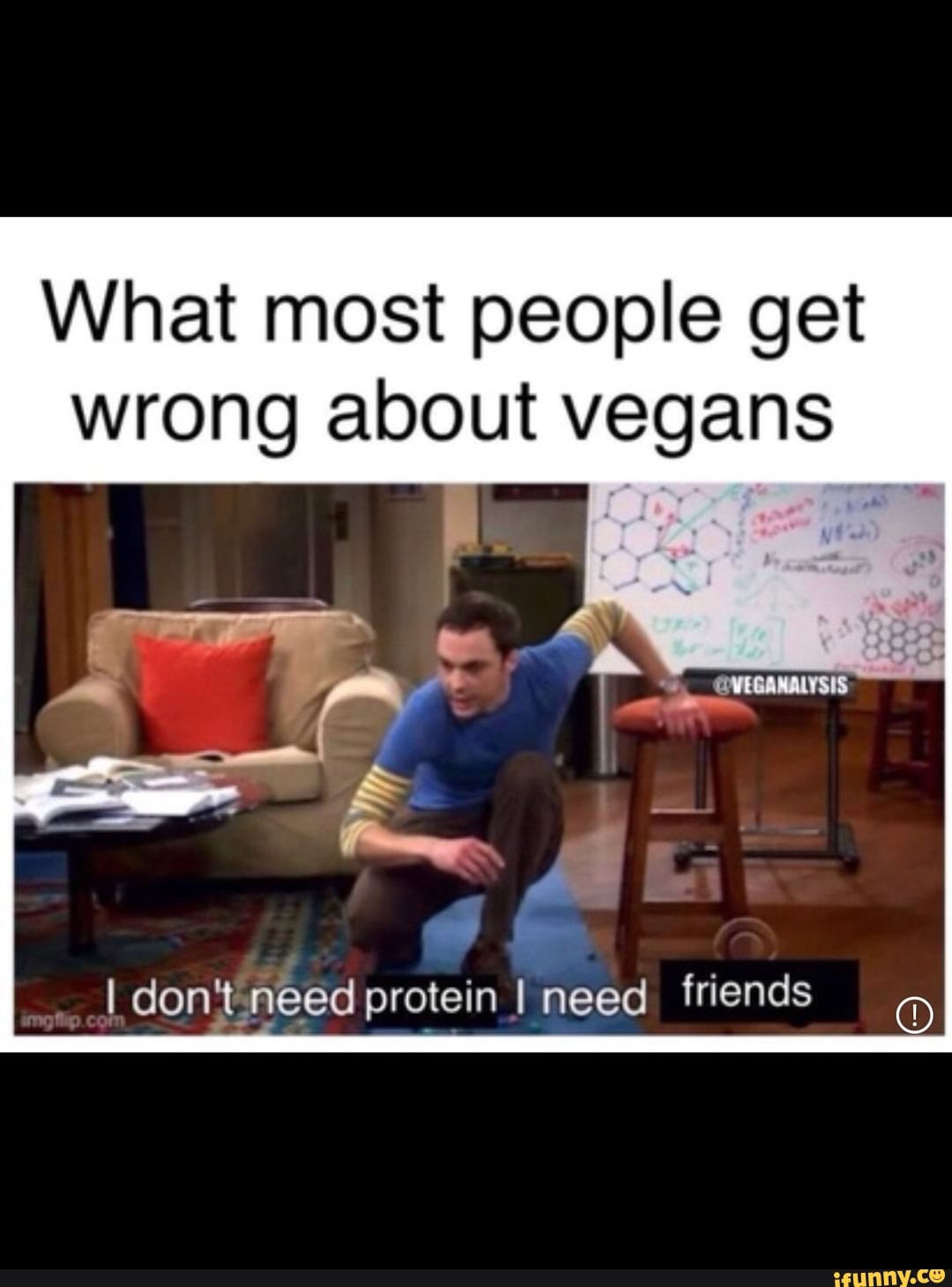 Vegan Protein Meme