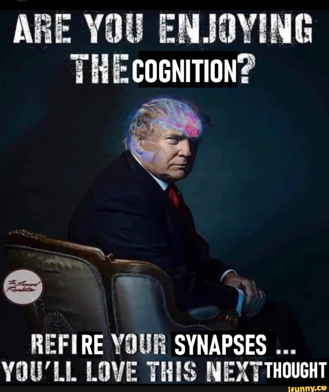 ARE YOU ENJOYING THE COGNITION? REFIRE YOUR SYNAPSES YOU'LL LOVE THIS ...
