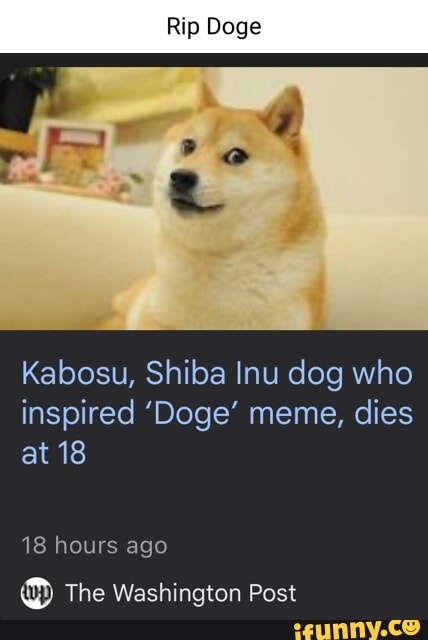 Rip Doge Kabosu, Shiba Inu dog who inspired 'Doge' meme, dies at 18 18 hours ago The Washington ...