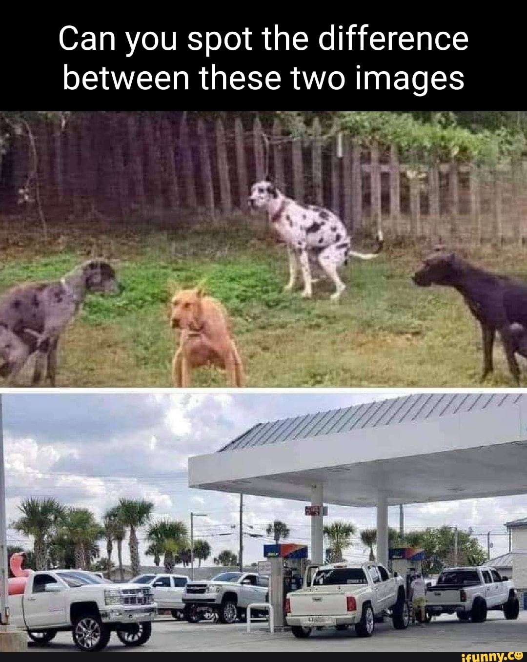 Can You Spot The Difference Between These Two Images 