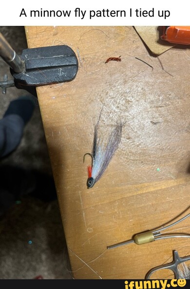 Minnow memes. Best Collection of funny Minnow pictures on iFunny