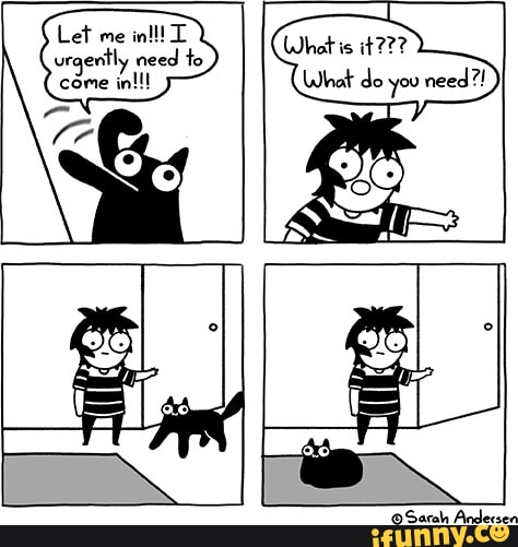 Andersen memes. Best Collection of funny Andersen pictures on iFunny