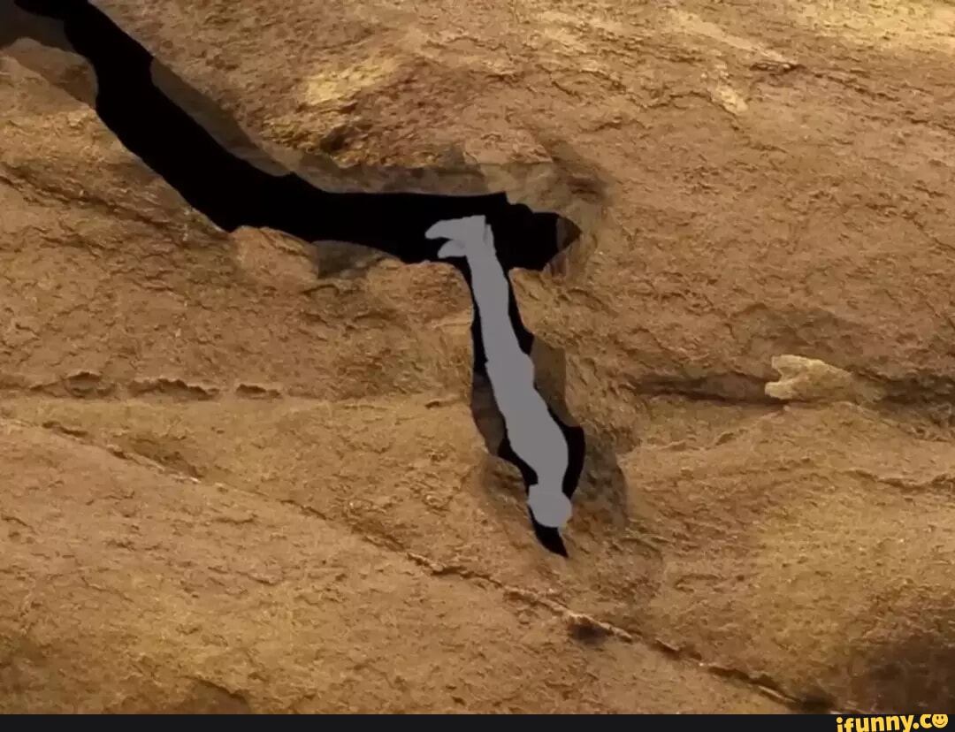 Spelunking memes. Best Collection of funny Spelunking pictures on iFunny