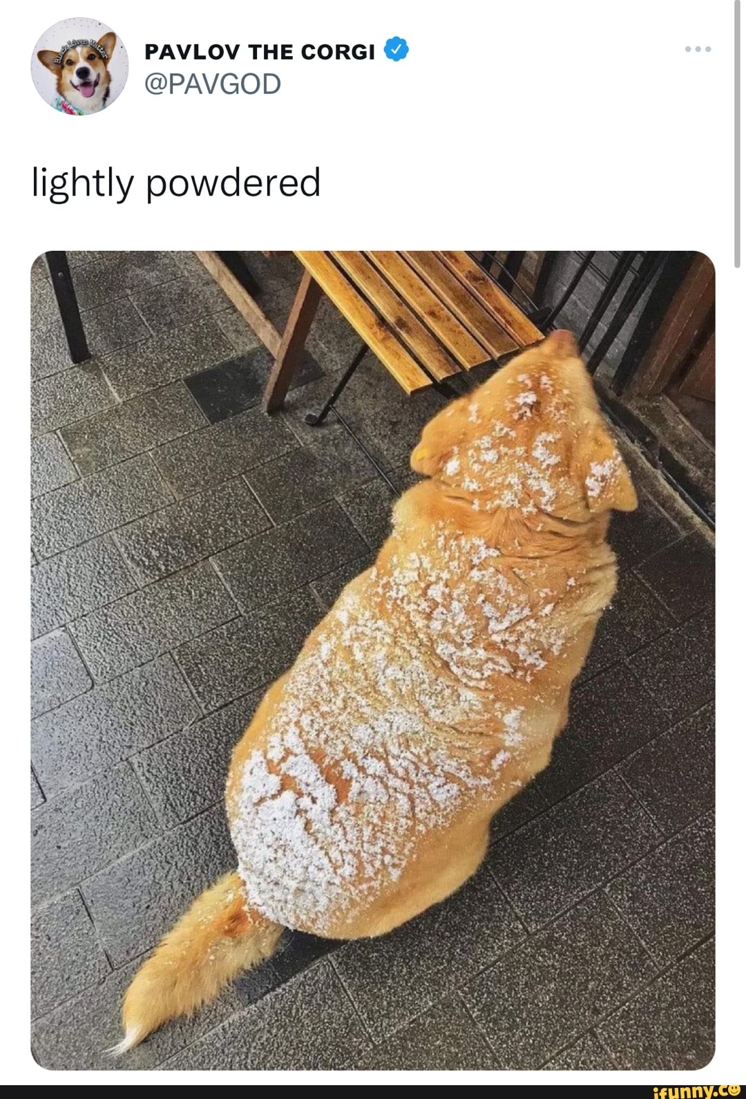 Wuff memes. Best Collection of funny Wuff pictures on iFunny