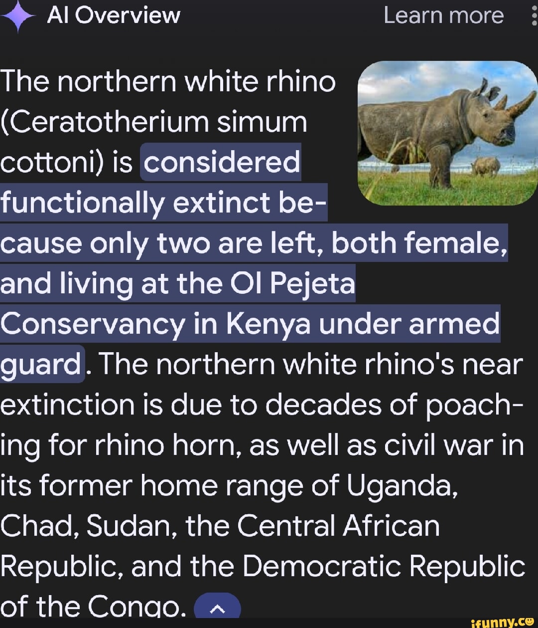 Al Overview Learn more The northern white rhino (Ceratotherium simum ...
