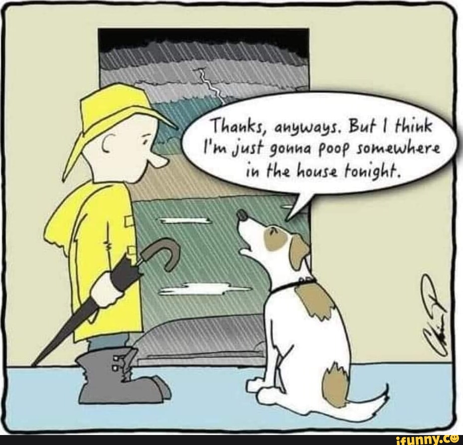 Thick Fork The Uncomfortable Teapot - iFunny