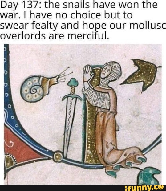 Mollusc memes. Best Collection of funny Mollusc pictures on iFunny