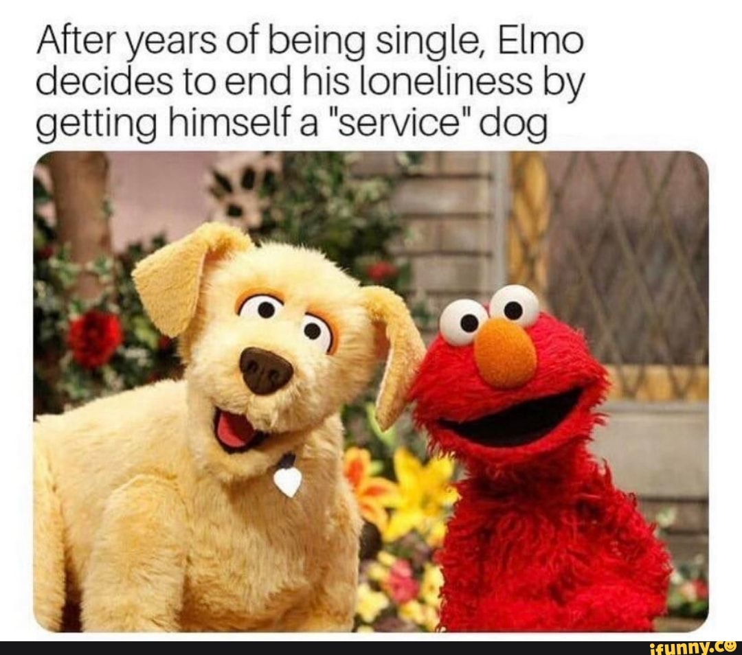 After years of being single, Elmo decides to end his loneliness by ...