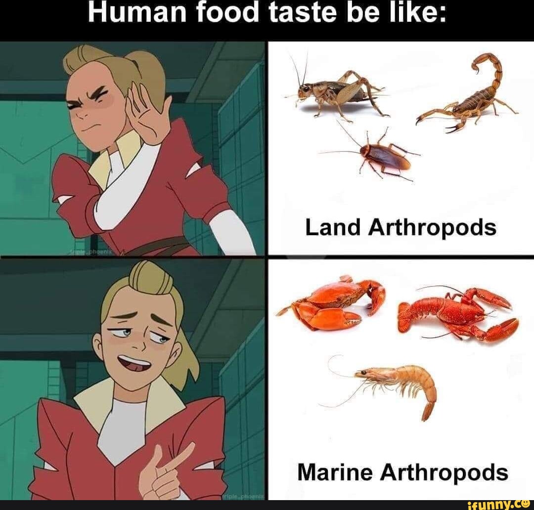 Arthropods memes. Best Collection of funny Arthropods pictures on iFunny