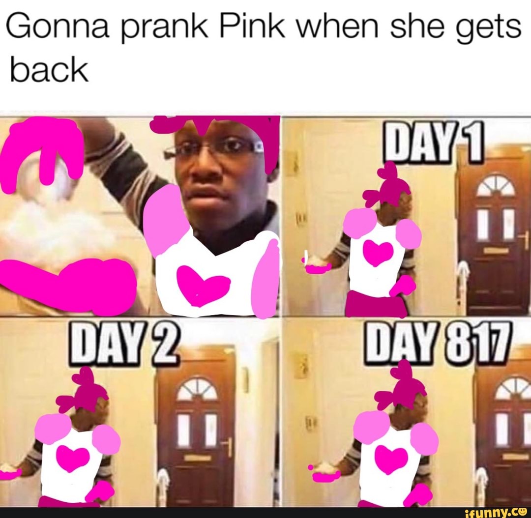 Gonna prank Pink when she gets back - iFunny