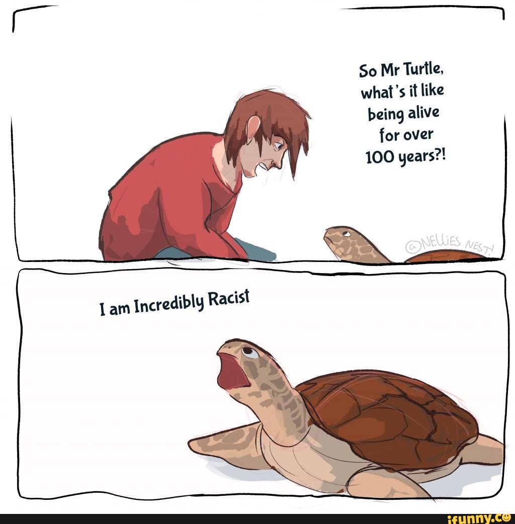 So Mr Turtle, what's it like being alive for over 100 years?! Lam Incredibly Racist - iFunny