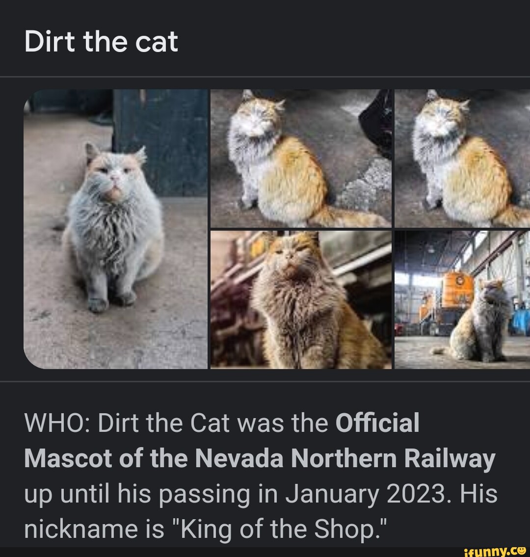 Dirt the cat I WHO: Dirt the Cat was the Official Mascot of the Nevada ...