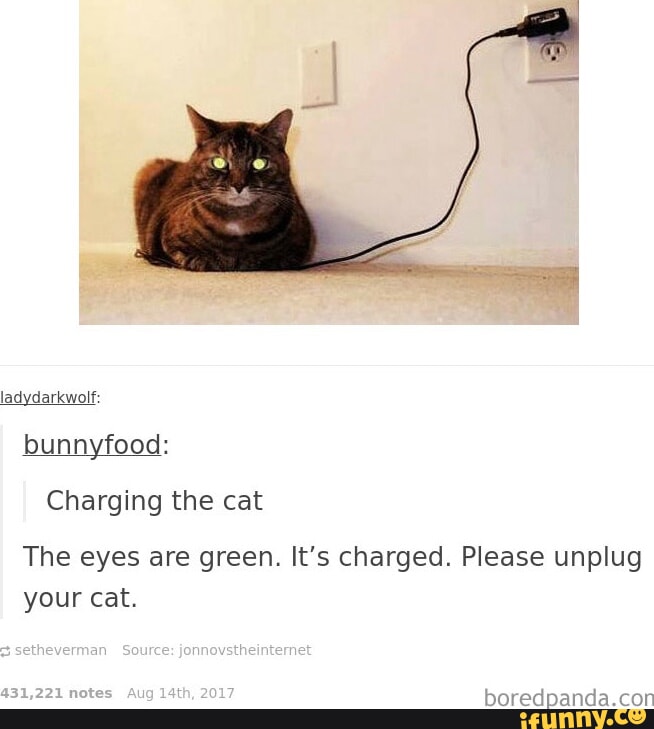 Ladydarkwolf: bunnyfood: Charging the cat Source: The eyes are green ...