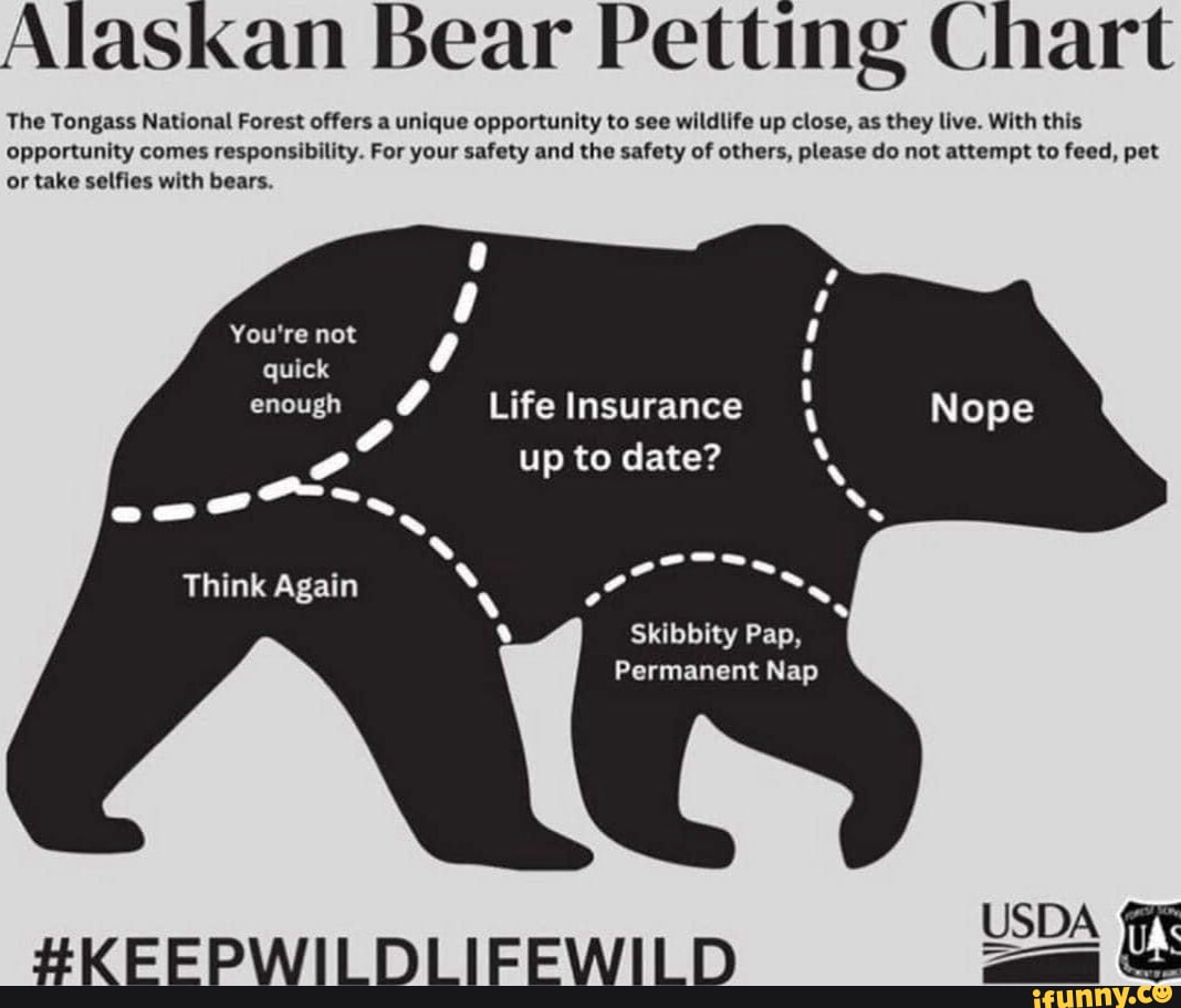 Alaskan Bear Petting Chart The Tongass National Forest offers a unique ...