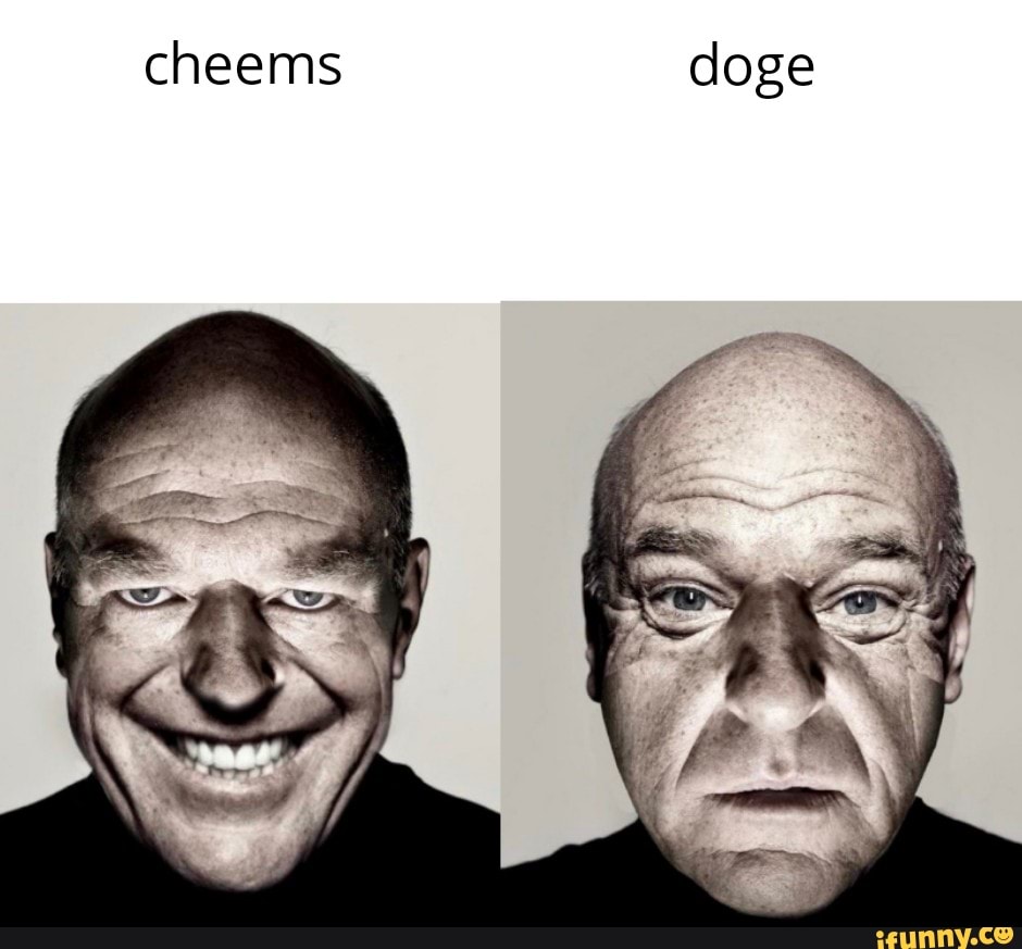 Cheems doge - iFunny