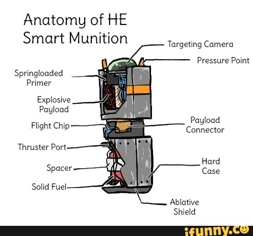 Anatomy of HE Smart Munition Targeting Camera Pressure Point ...