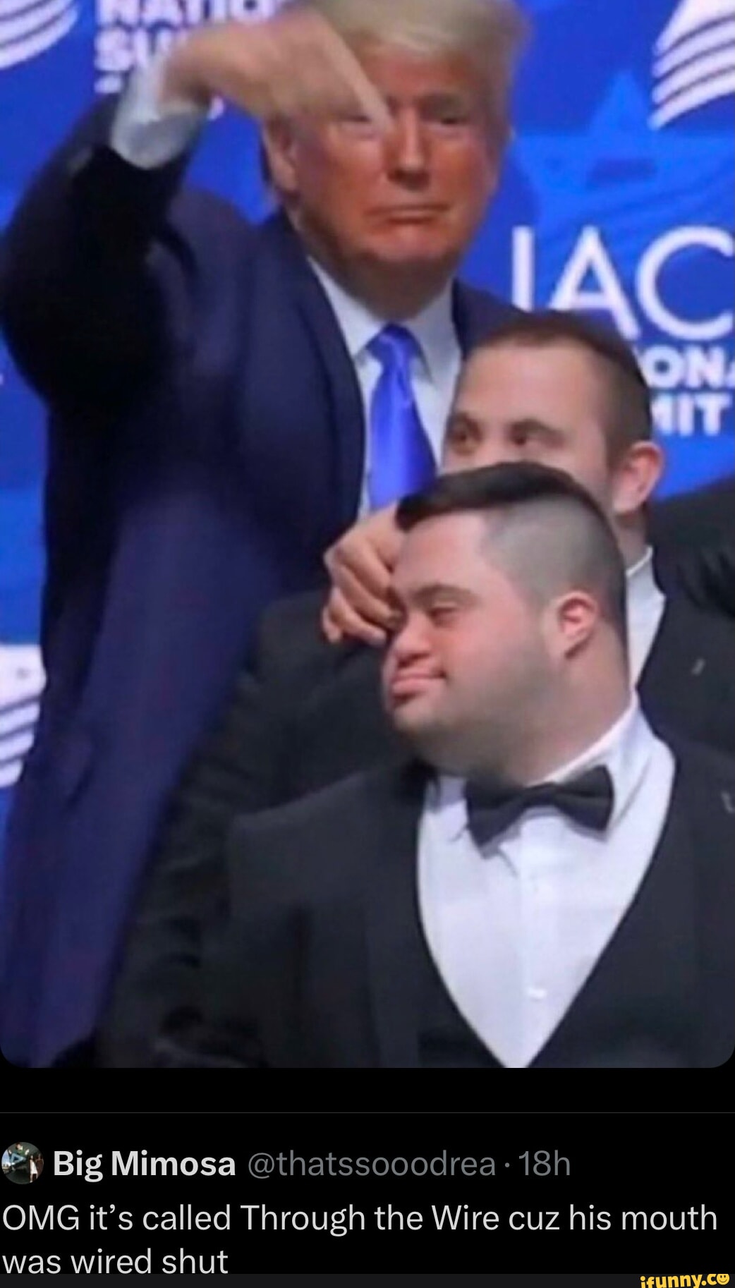 Mimosa memes. Best Collection of funny Mimosa pictures on iFunny