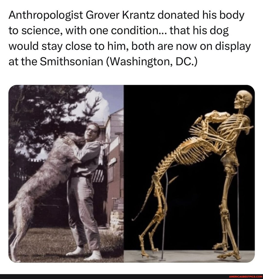 Follow us MEMEIG for daily memes like this Now theyre together forever ...