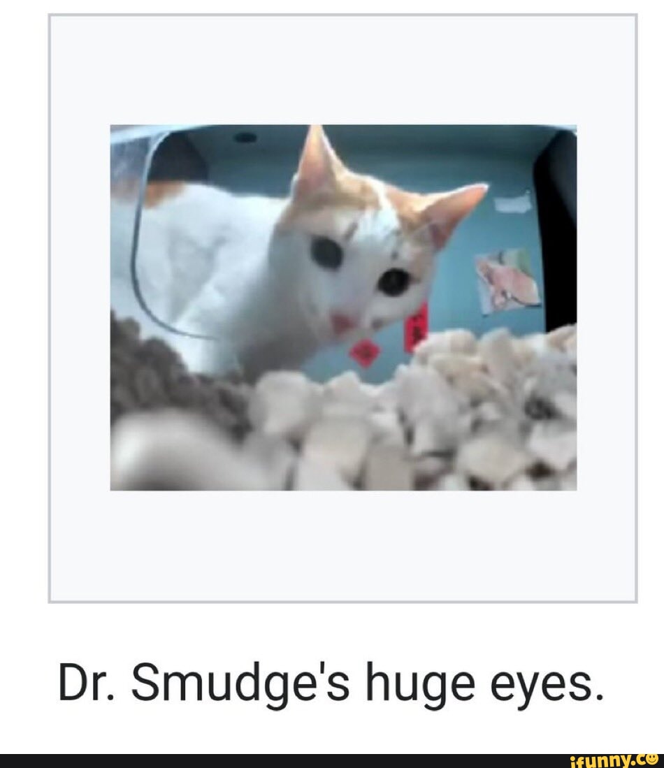 Smudges memes. Best Collection of funny Smudges pictures on iFunny