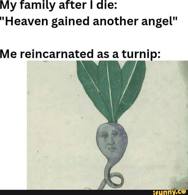 Turnip memes. Best Collection of funny Turnip pictures on iFunny