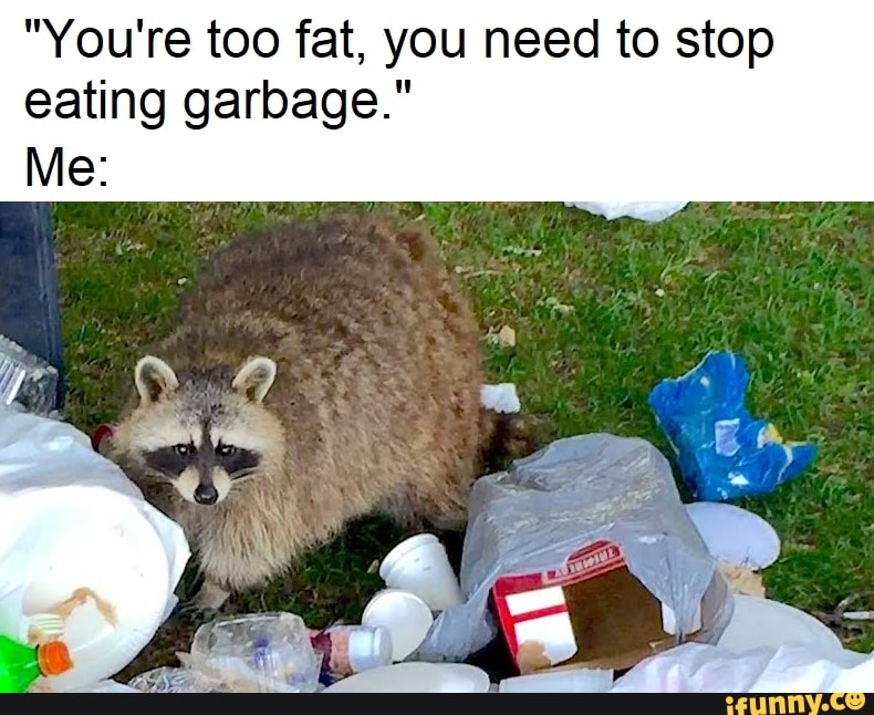 "You're too fat, you need to stop eating garbage." - iFunny