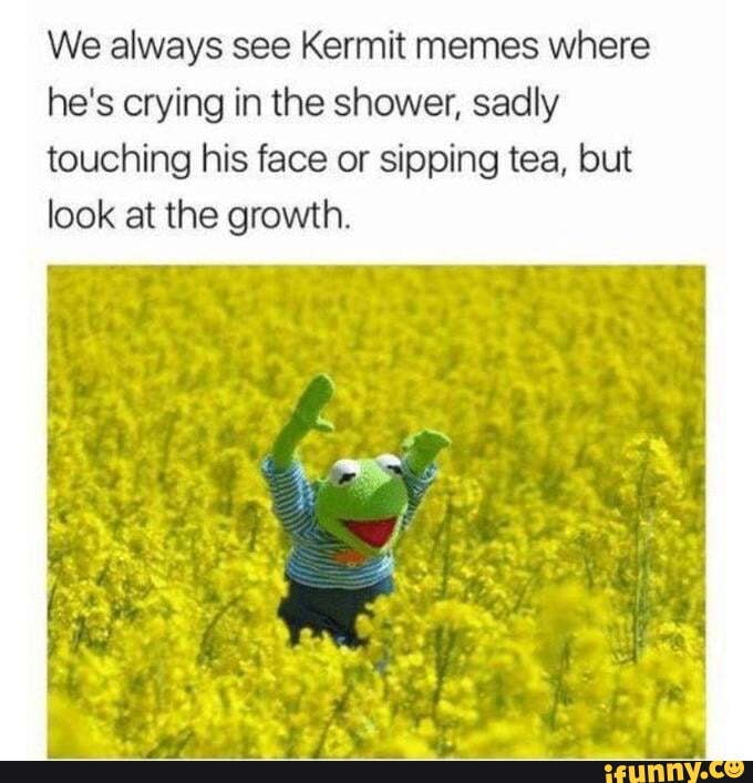 We always see Kermit memes where he's crying in the shower, sadly ...