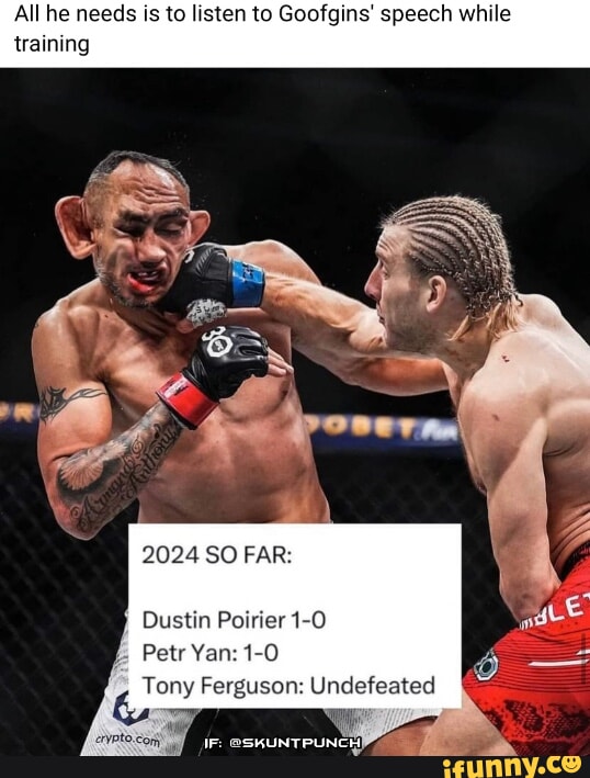 Goofgins memes. Best Collection of funny Goofgins pictures on iFunny