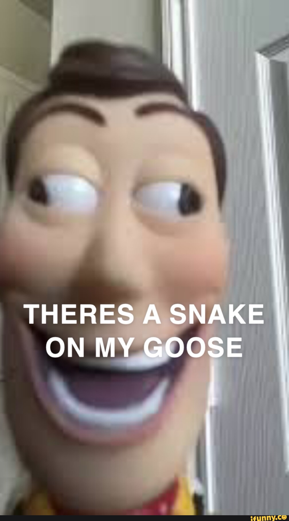 Goose memes. Best Collection of funny Goose pictures on iFunny