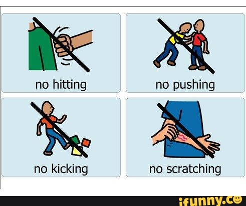 No hitting no pushing no kicking no scratching - iFunny