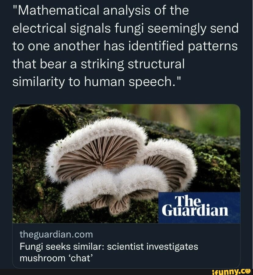 Structural memes. Best Collection of funny Structural pictures on iFunny