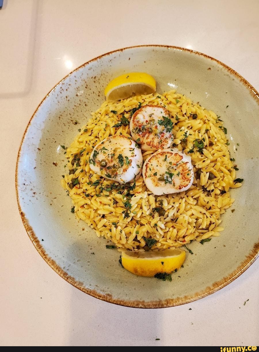 Daily special. Seared sea scallop over orzo. - iFunny
