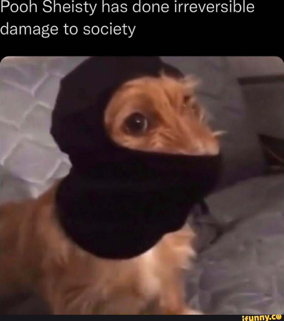 Poohsheisty memes. Best Collection of funny Poohsheisty pictures on iFunny