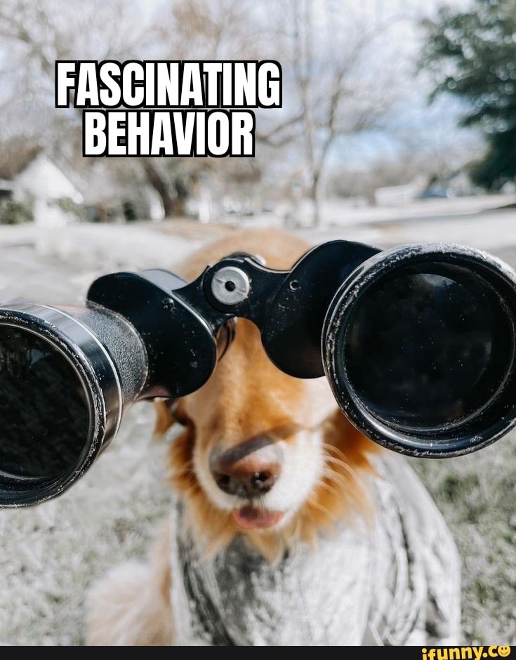 FASCINATING BEHAVIOR - iFunny