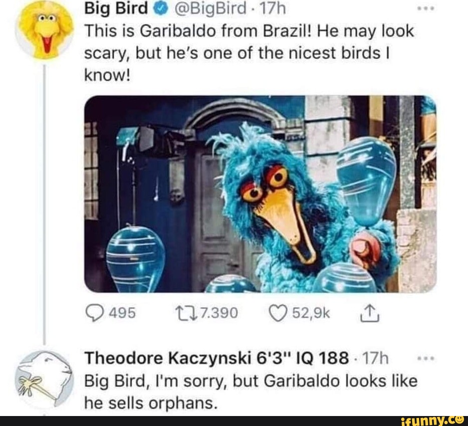 Big Bird @ @BigBird - This is Garibaldo from Brazil! He may look scary ...