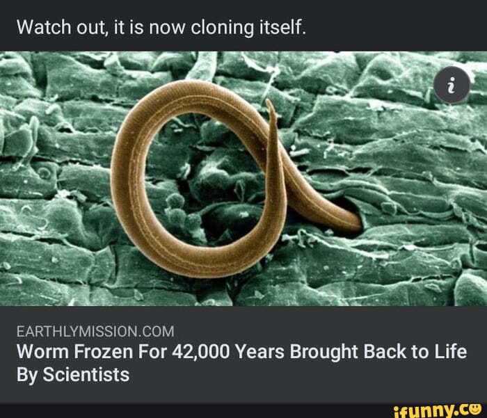 Soybean_cyst_nematode memes. Best Collection of funny Soybean_cyst ...