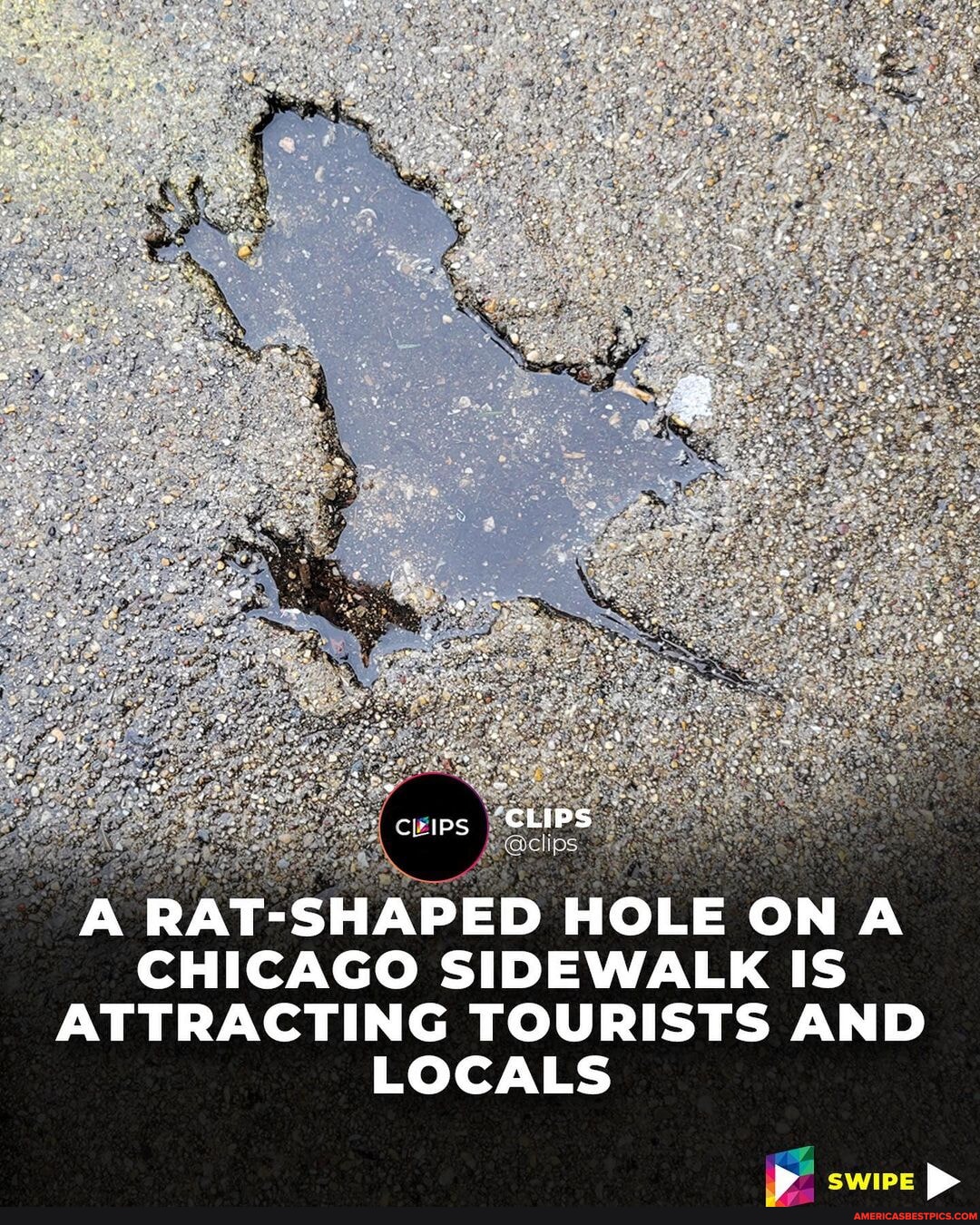 A single post on social media turned a mundane sidewalk impression in ...