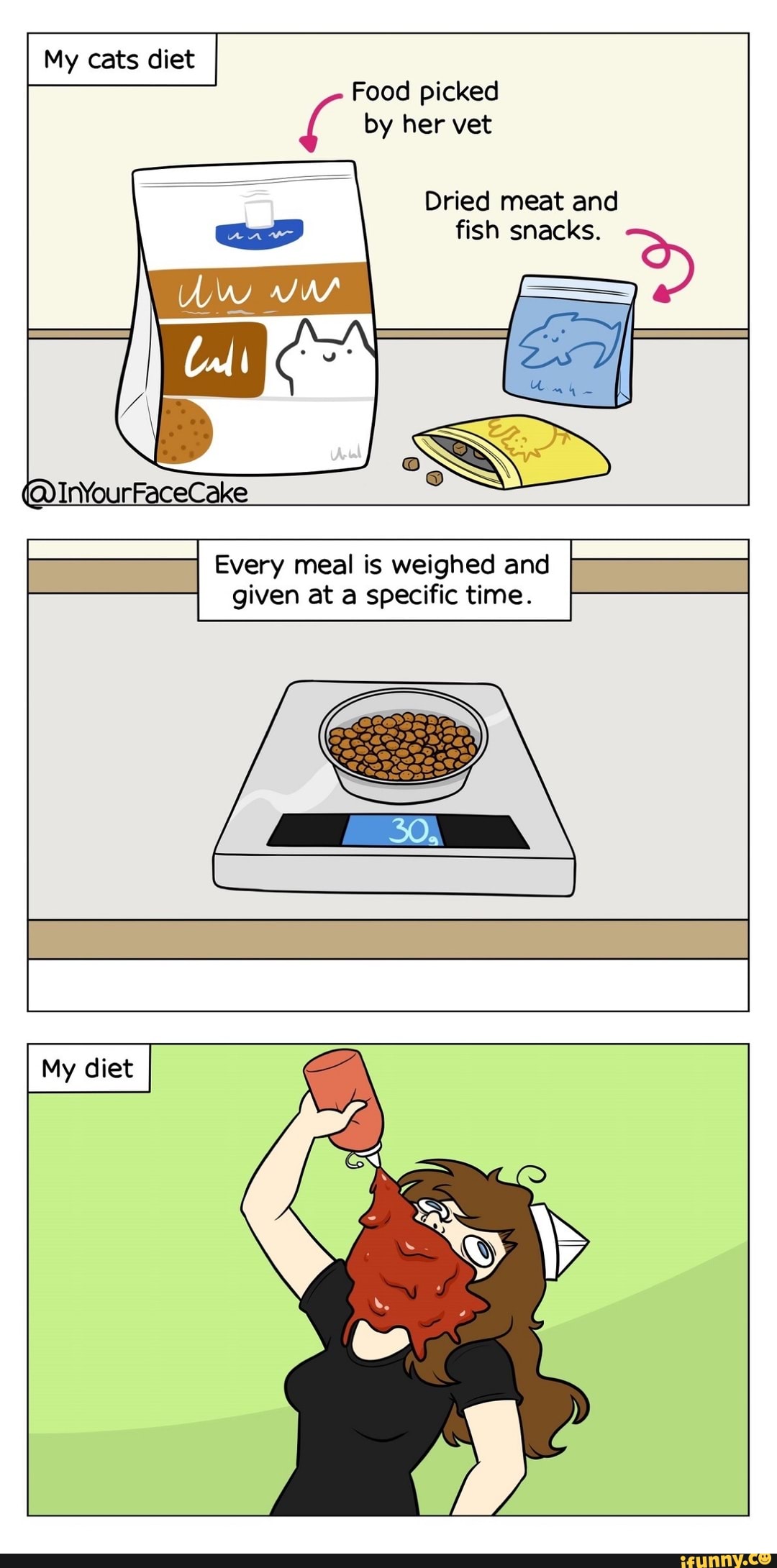 My cats diet Food picked by her vet Dried meat and fish snacks. Do ...