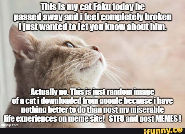 Ikthisisnotmeme memes. Best Collection of funny Ikthisisnotmeme pictures on iFunny