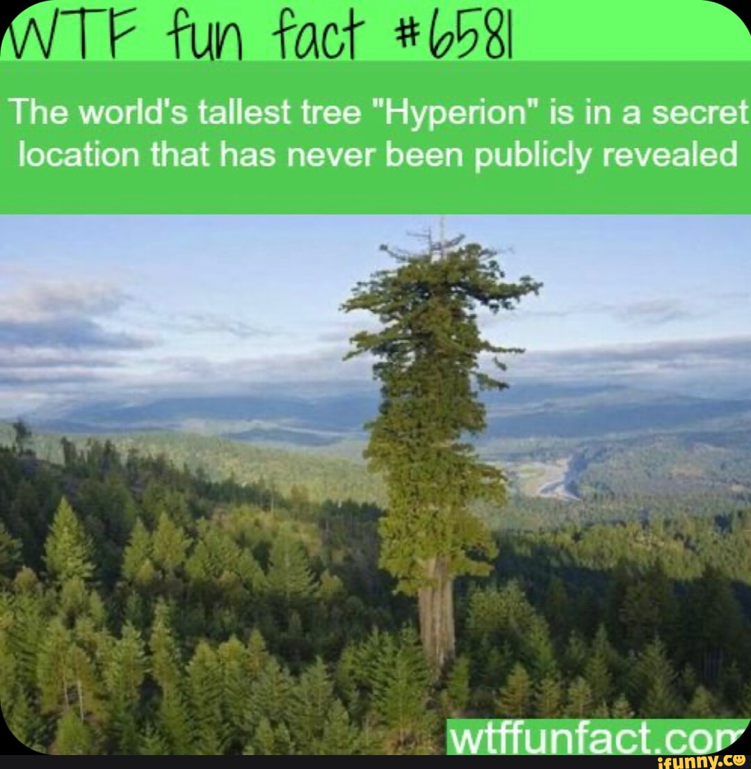 OH YEAH, YOU LIKE THAT? OH HELL YES. YOU LIKE THE BIGGER, THE BETTER ...