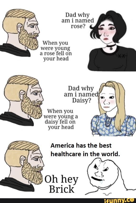 Meme - Dad why am i named rose? When you were young a rose fell on your ...