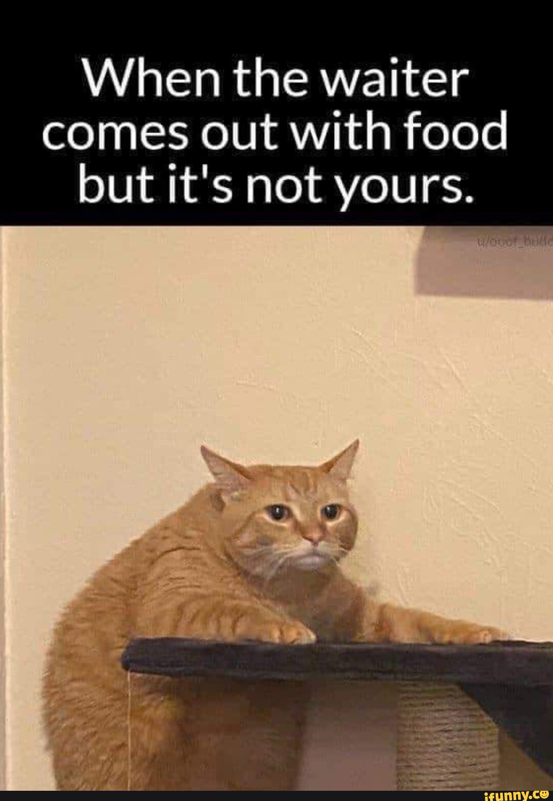 When the waiter comes out with food but it's not yours. - iFunny