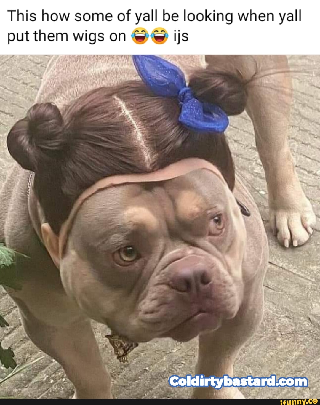 Ijs memes. Best Collection of funny Ijs pictures on iFunny