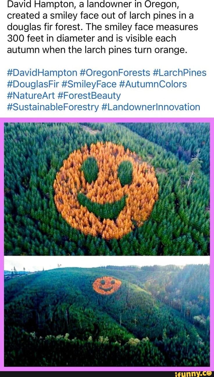 David Hampton, a landowner in Oregon, created a smiley face out of ...
