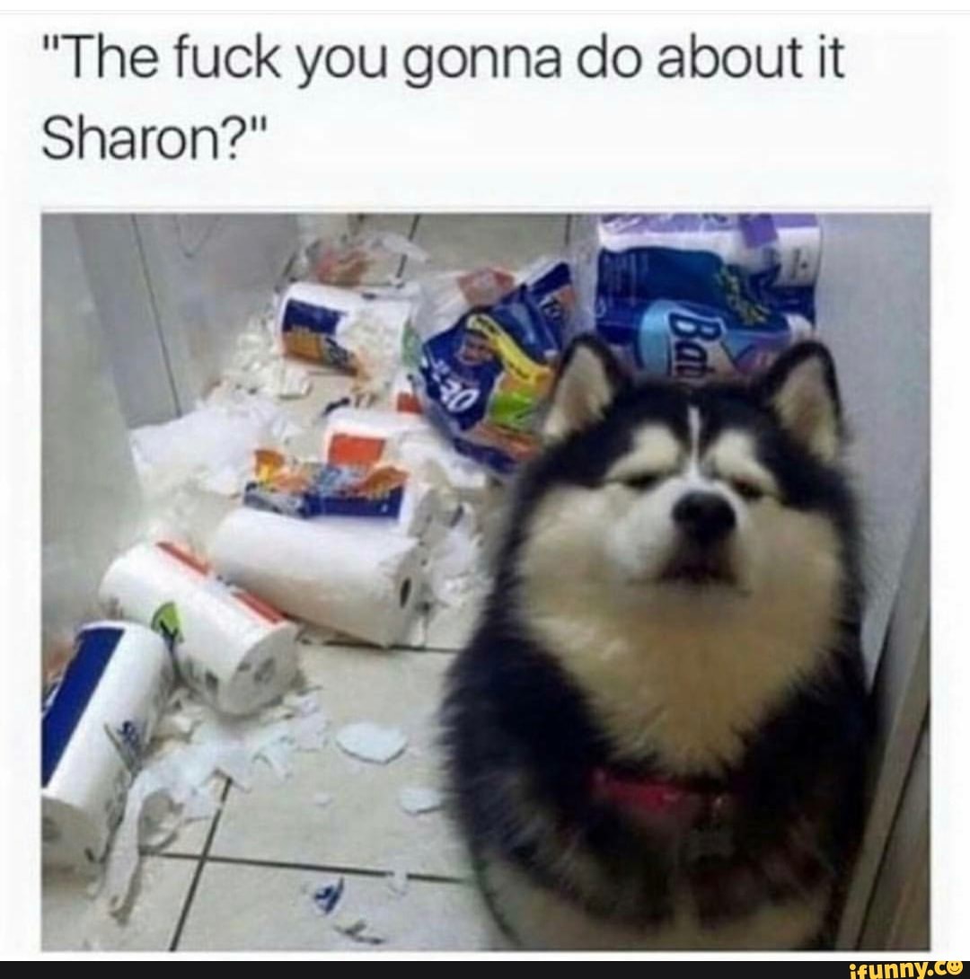 What The Fuck You Gonna Do Sharon Meme Hotsell | zkzl.poznan.pl