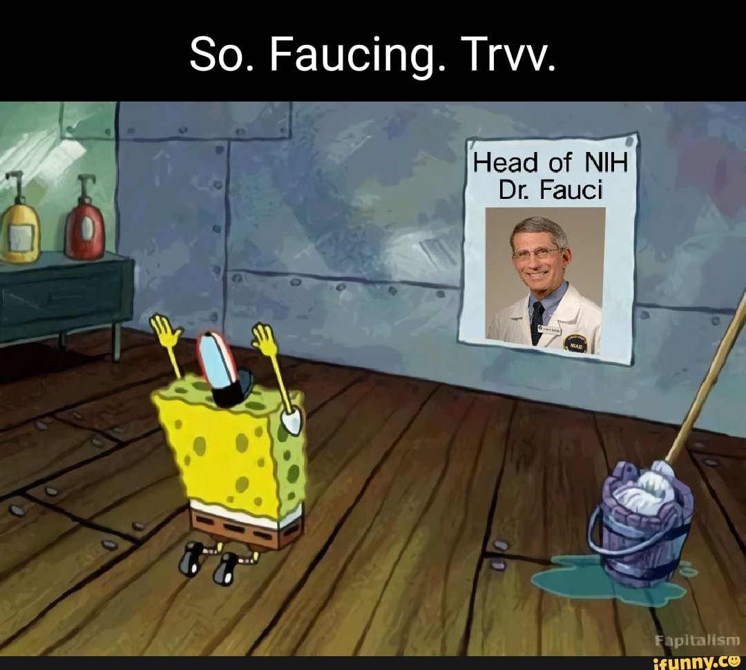 So. Faucing. Trvv. Head of NIH Dr. Fauci apital - iFunny