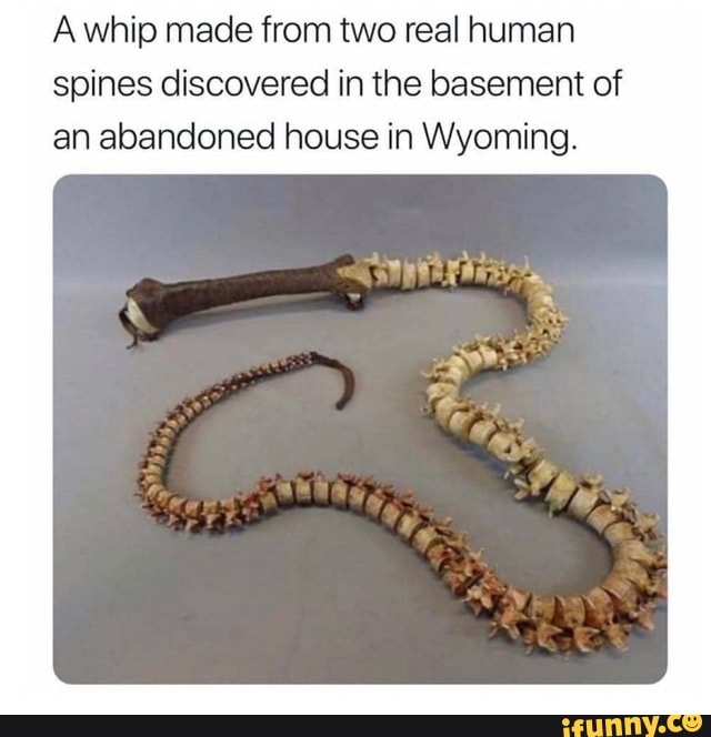 A whip made from two real human spines discovered in the basement of an ...